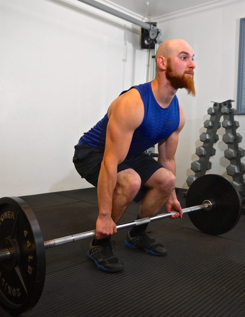 Weight/Physique Training - DMF Fitness Studio